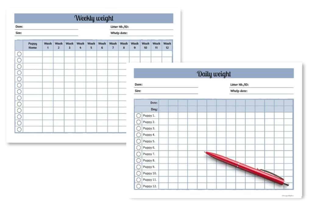 Whelping and litter records - vetcarenews
