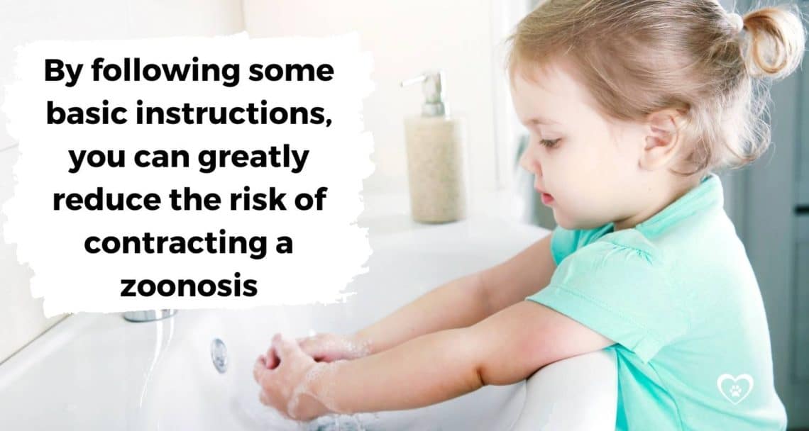 Zoonoses - diseases you can catch from your dog (and how to prevent ...