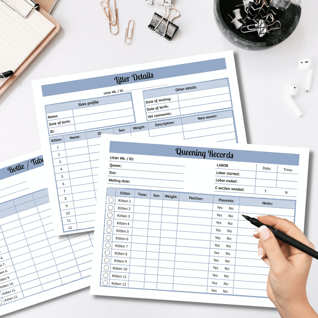 The complete Cat breeding charts bundle - vetcarenews