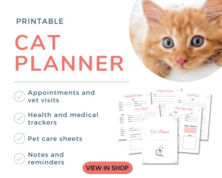 How to help a cat in heat - a beginner's guide on female cat heat cycle ...