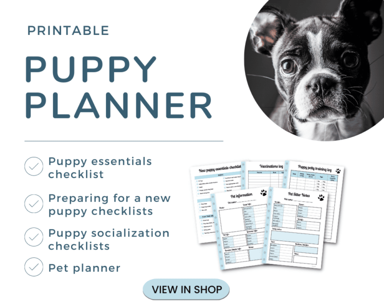 A complete guide on how to pick a healthy puppy from a litter - vetcarenews