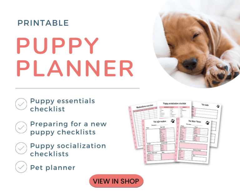 A complete guide on how to pick a healthy puppy from a litter - vetcarenews