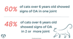 Osteoarthritis: the hidden suffering of older cats - vetcarenews