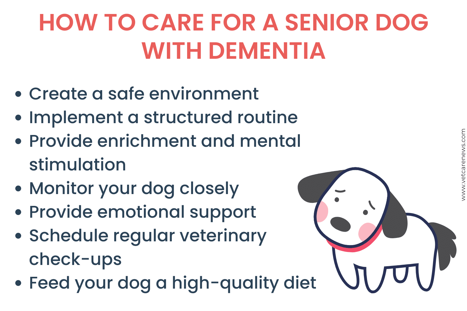 How to Care for a Senior Dog With Dementia - vetcarenews